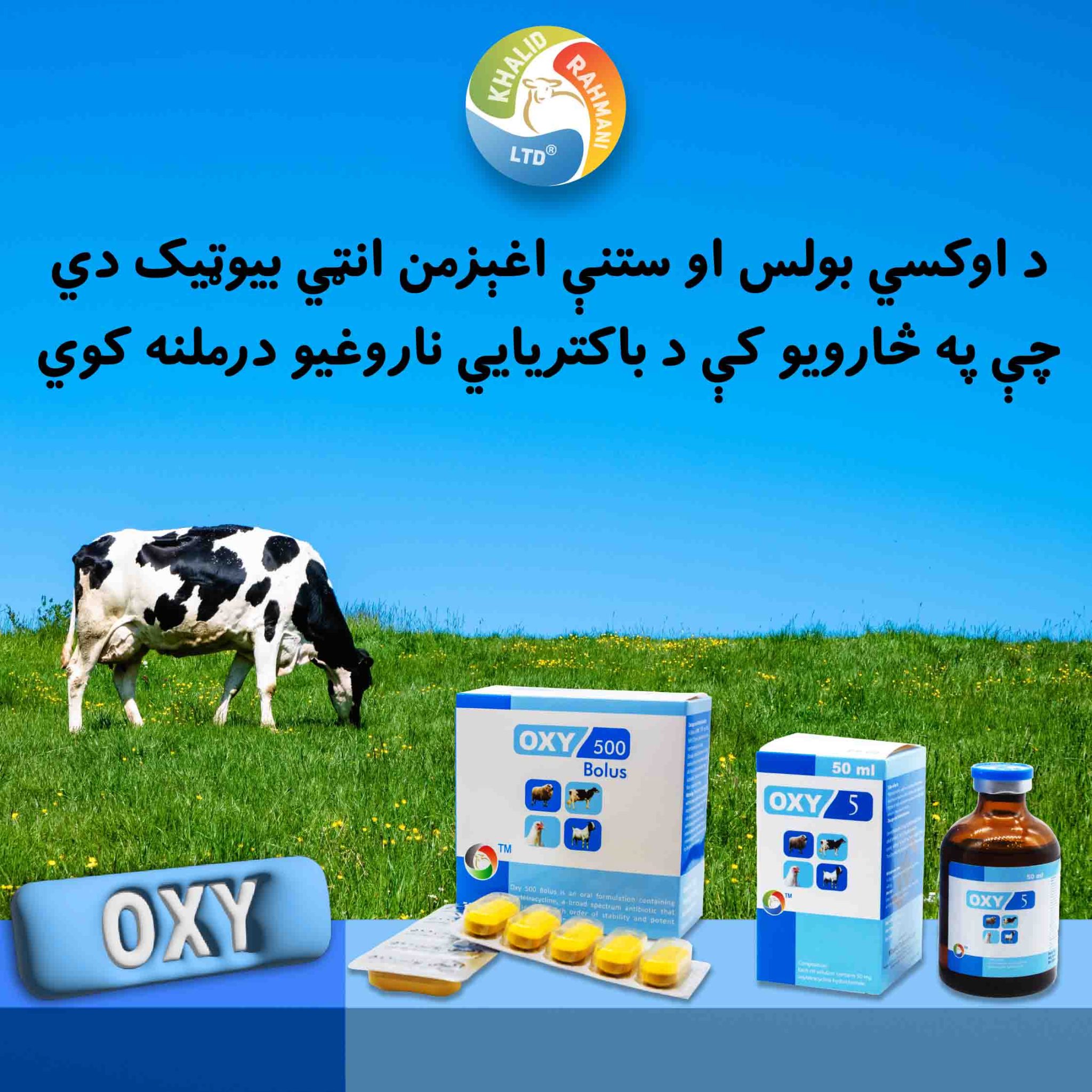 An Overview of Oxytetracycline 500 mg Bolus in Animal Health | Khalid Rahmani Ltd